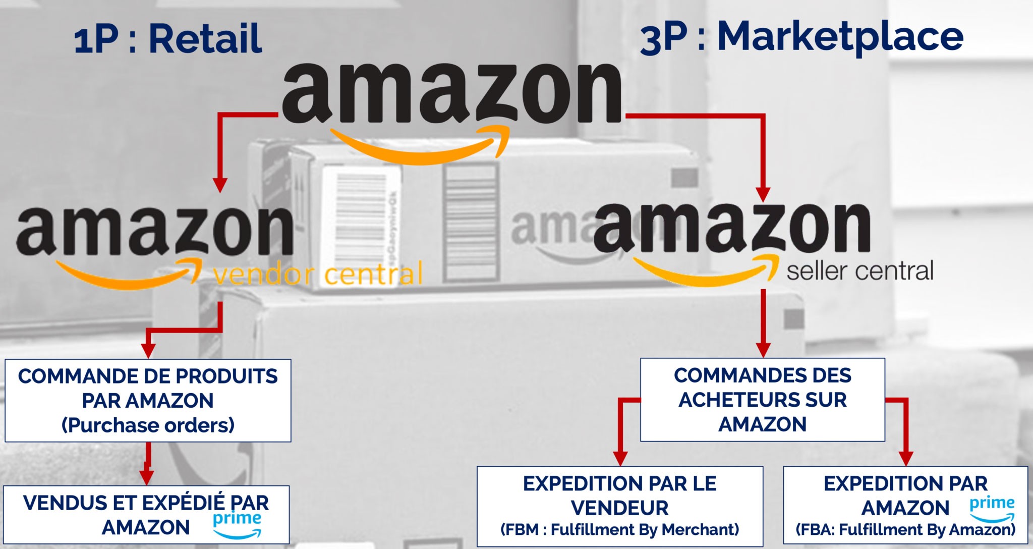 Amazon Retail 1P Ou Amazon Marketplace 3P Lequel Choisir